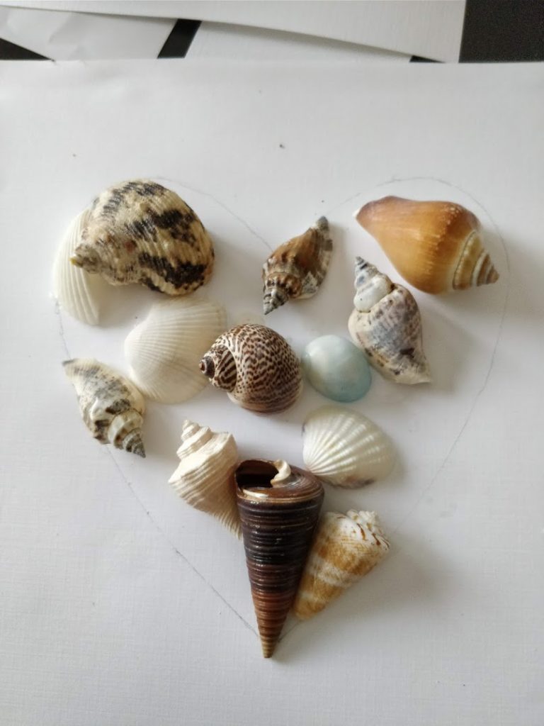 Seashell Art - Quick and Easy DIY for your Home | Feeling Nifty