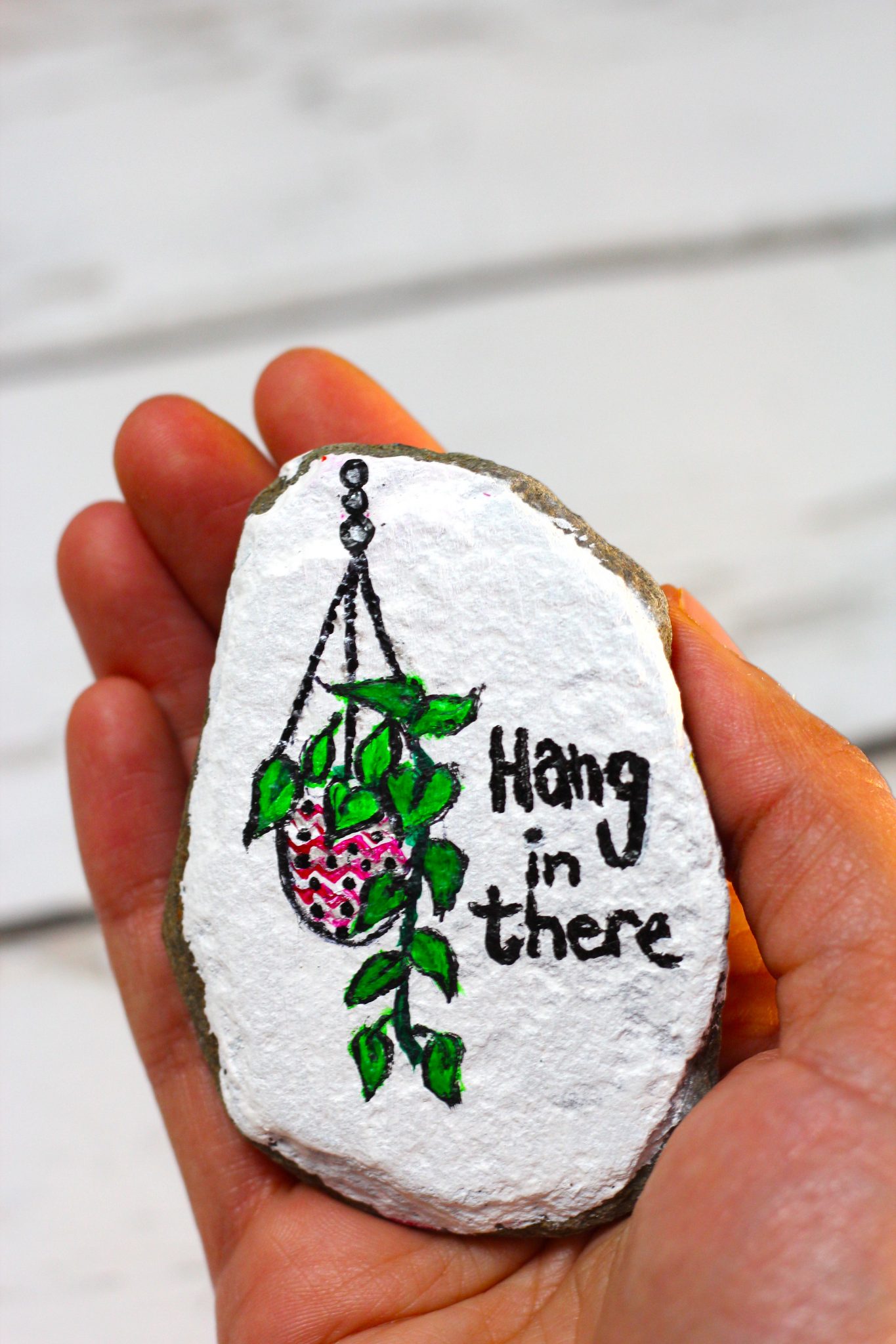 How To Paint Rocks For Beginners & 20+ Easy Ideas {Rock Painting 101}