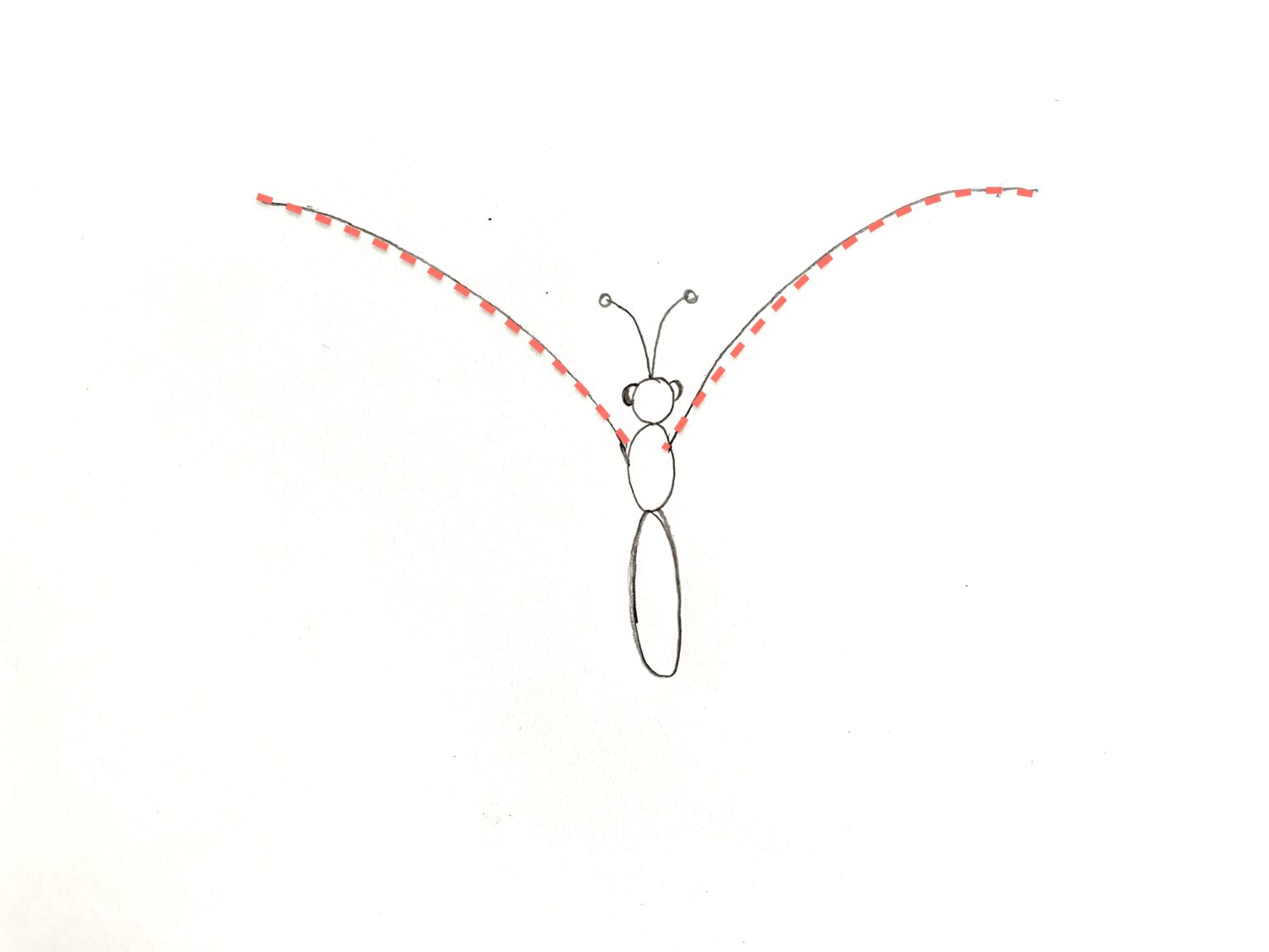 How to Draw a Butterfly Easy-Peasy & Fast ! {for kids, teens and adults}