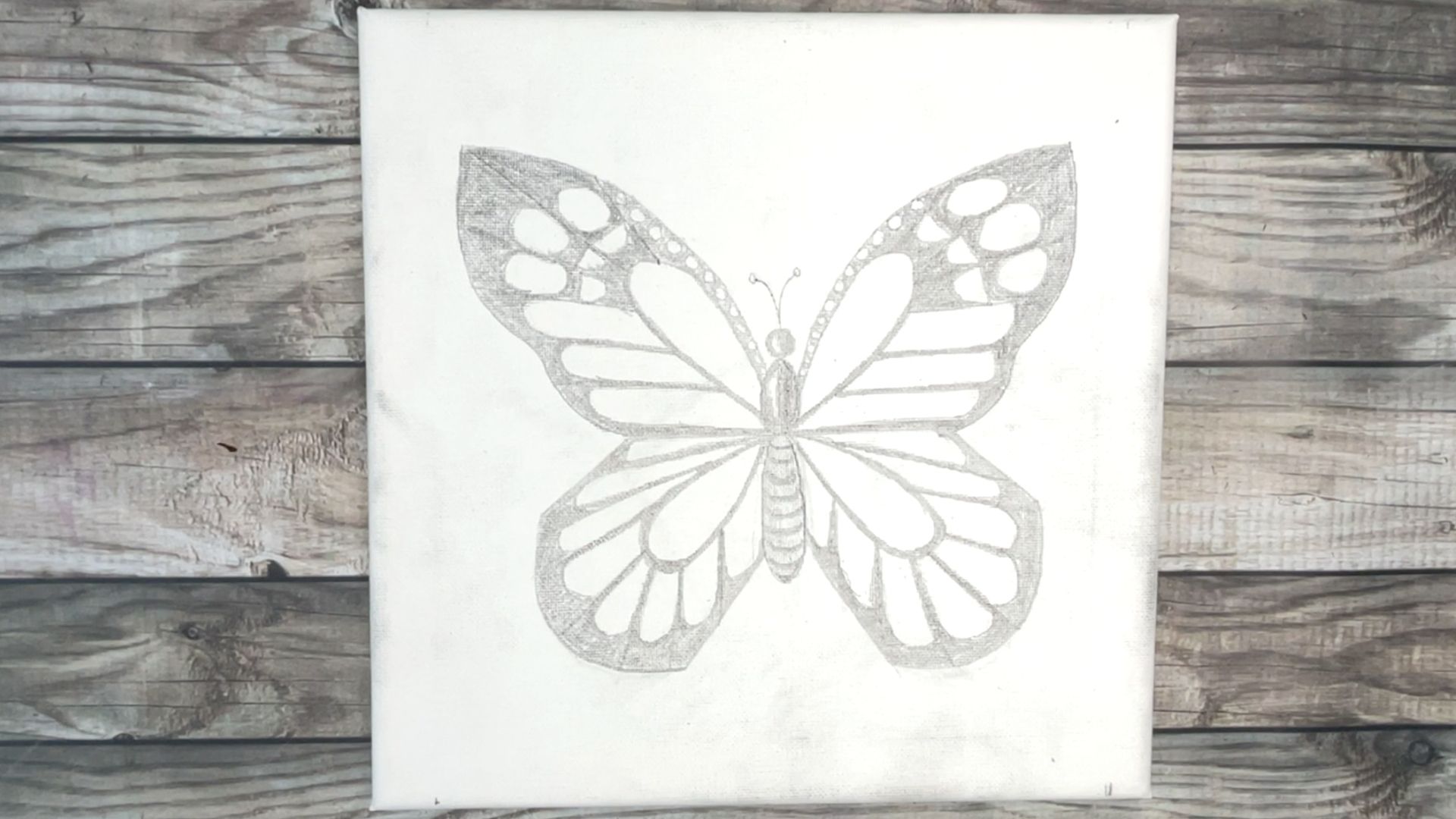 How to Draw a Butterfly Easy-Peasy & Fast ! {for kids, teens and adults}