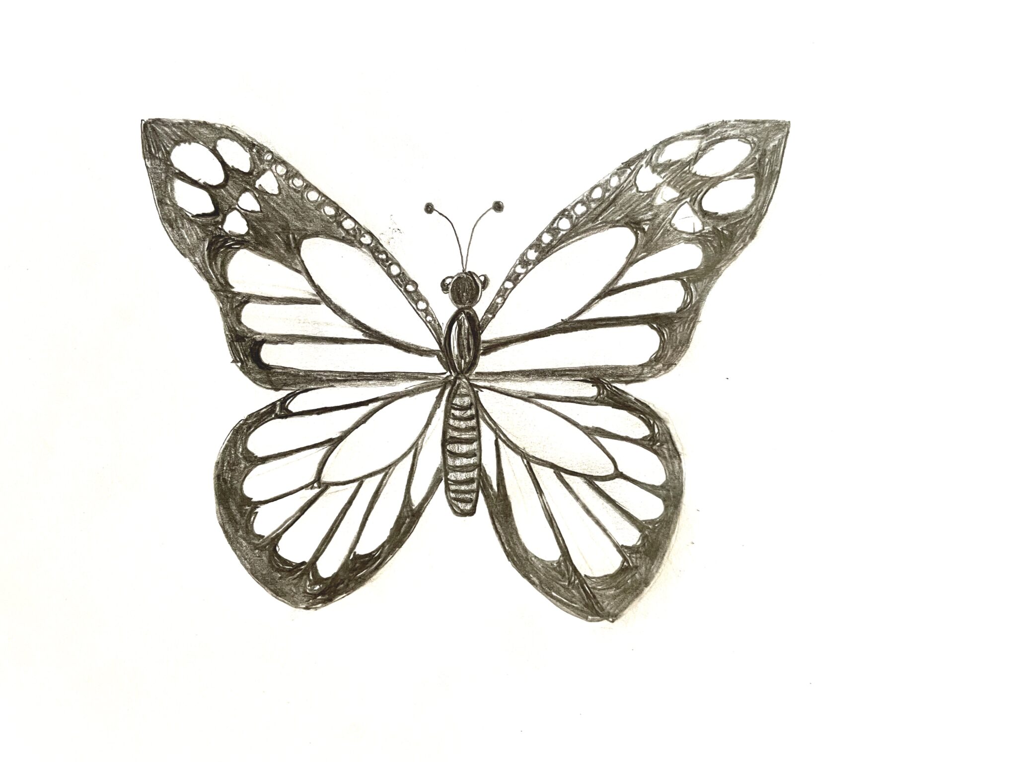 How to Draw a Butterfly Easy-Peasy & Fast ! {for kids, teens and adults}