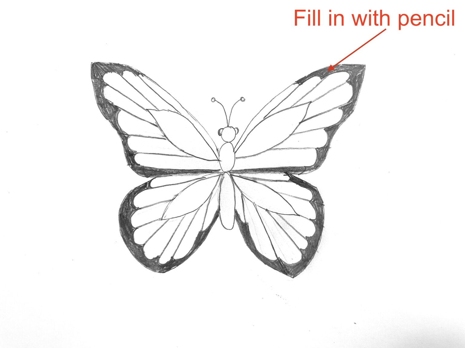 How to Draw a Butterfly Easy-Peasy & Fast ! {for kids, teens and adults}