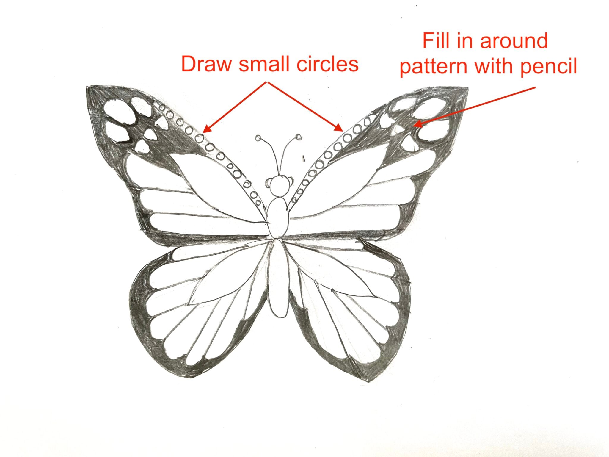 How to Draw a Butterfly Easy-Peasy & Fast ! {for kids, teens and adults}