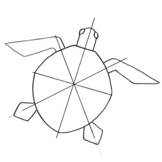 How to Draw a Sea Turtle : Easy Step-By-Step Tutorial
