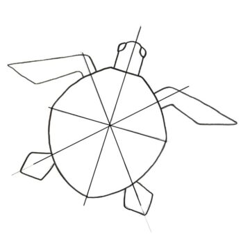 How to Draw a Sea Turtle : Easy Step-By-Step Tutorial