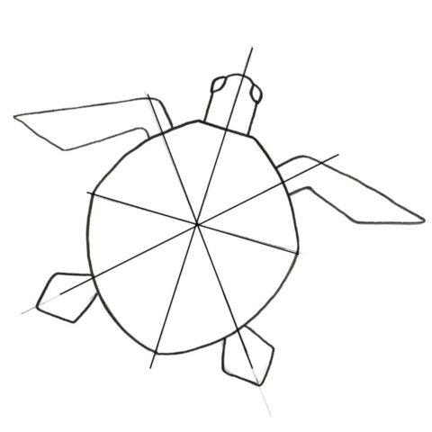 How to Draw a Sea Turtle : Easy Step-By-Step Tutorial