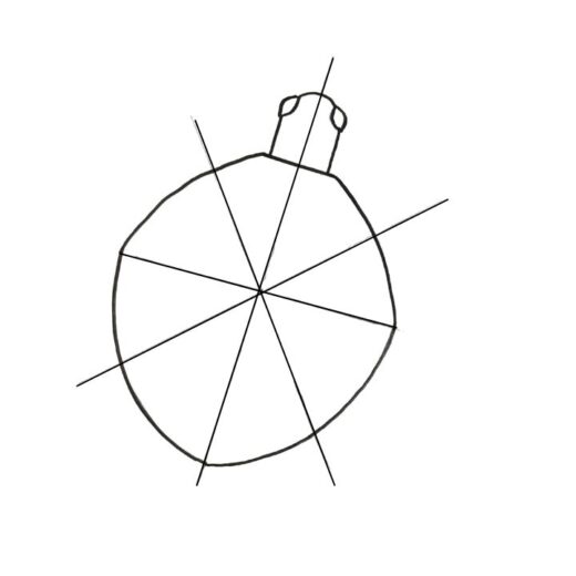 How to Draw a Sea Turtle : Easy Step-By-Step Tutorial