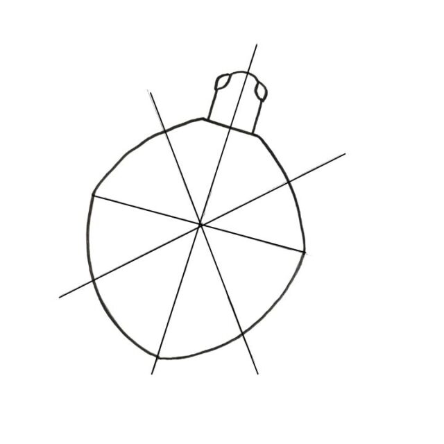 How to Draw a Sea Turtle : Easy Step-By-Step Tutorial