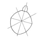 How to Draw a Sea Turtle : Easy Step-By-Step Tutorial