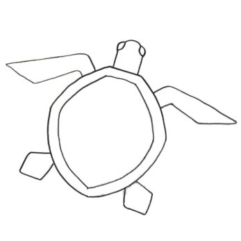 How to Draw a Sea Turtle : Easy Step-By-Step Tutorial