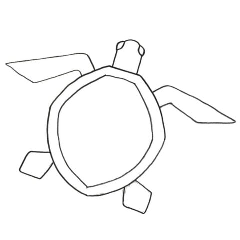 How to Draw a Sea Turtle : Easy Step-By-Step Tutorial