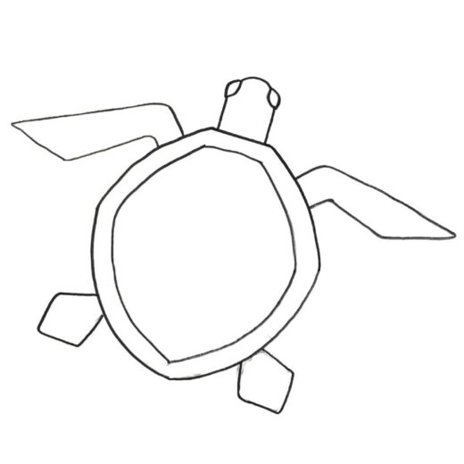 How to Draw a Sea Turtle : Easy Step-By-Step Tutorial