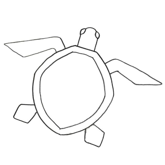 How to Draw a Sea Turtle : Easy Step-By-Step Tutorial
