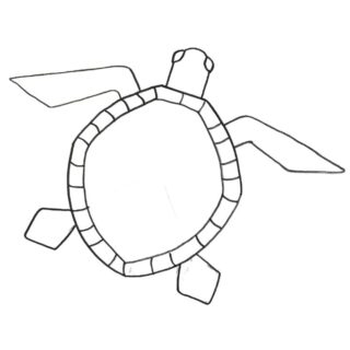 How to Draw a Sea Turtle : Easy Step-By-Step Tutorial