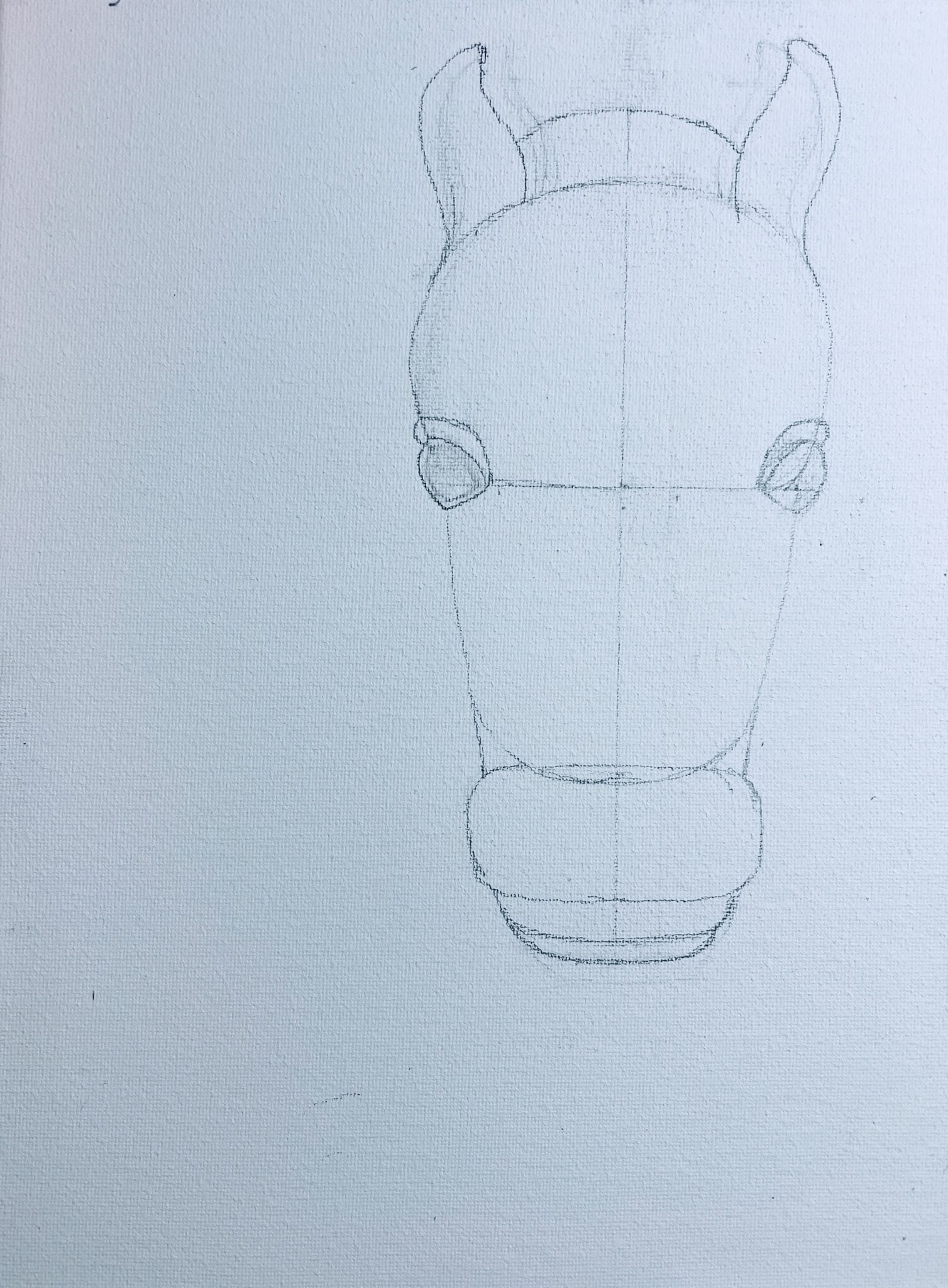 How to Draw a Horse Head like a Pro: Step-by-Step Guide for Beginners