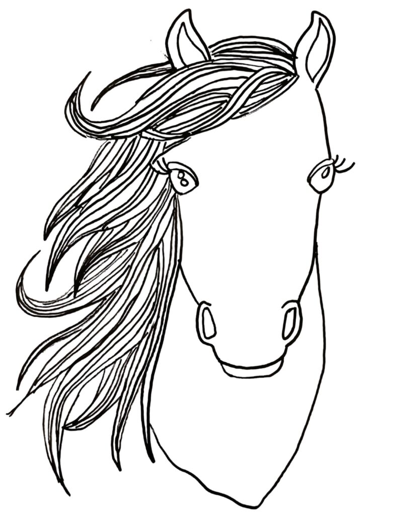 How To Draw A Horse Face Easy