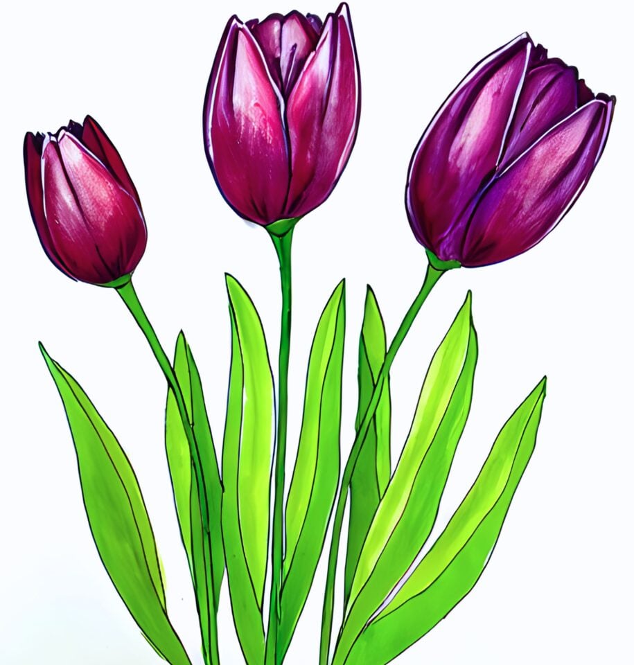 How to Draw Tulips: Easy Step-By-Step Tutorial For Beginners