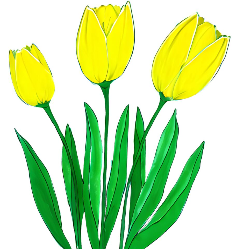 How to Draw Tulips: Easy Step-By-Step Tutorial For Beginners