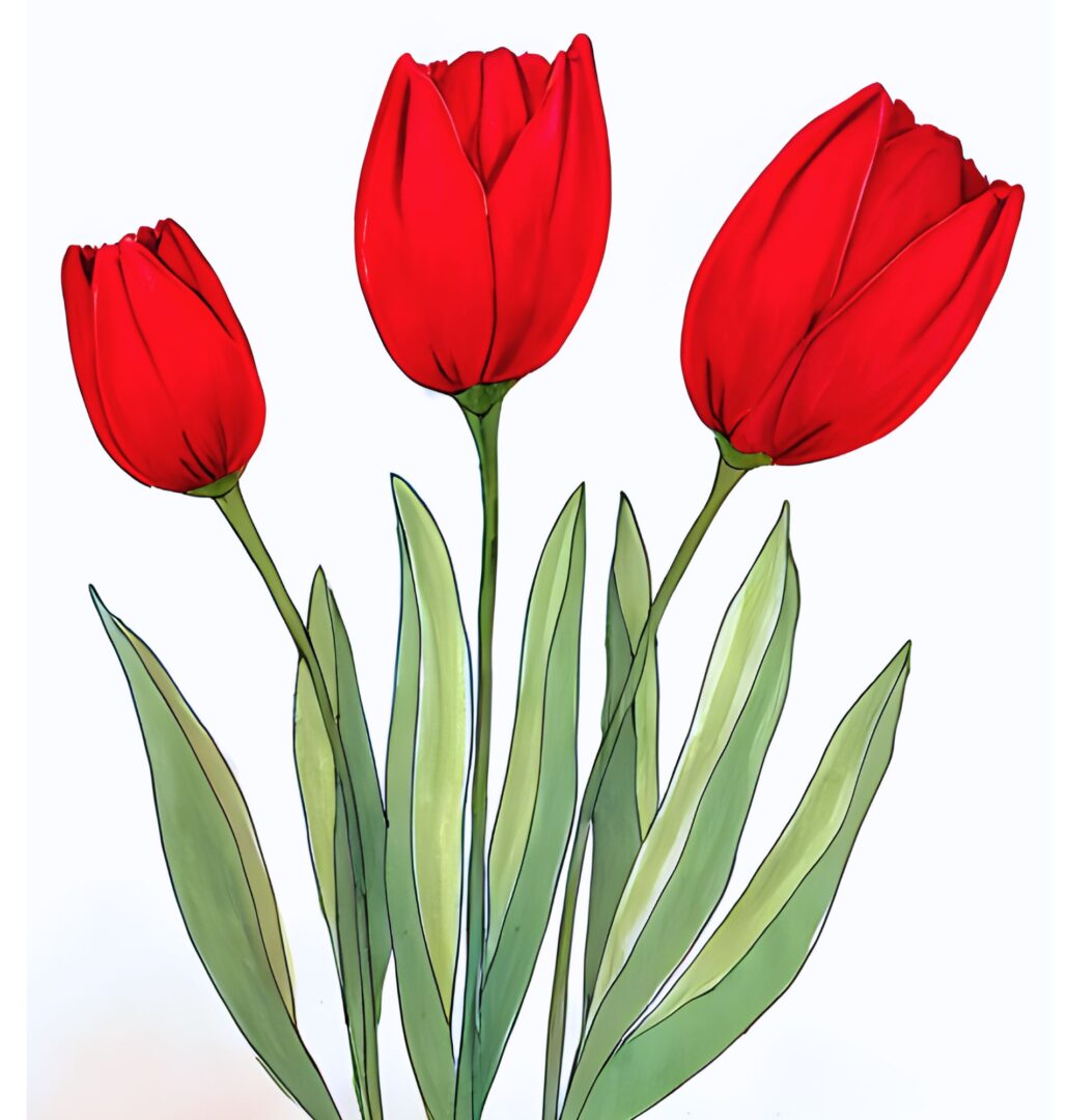 How to Draw Tulips: Easy Step-By-Step Tutorial For Beginners