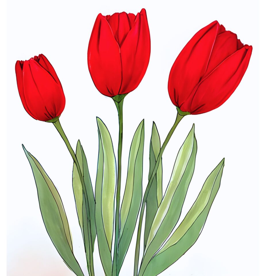 How to Draw Tulips: Easy Step-By-Step Tutorial For Beginners
