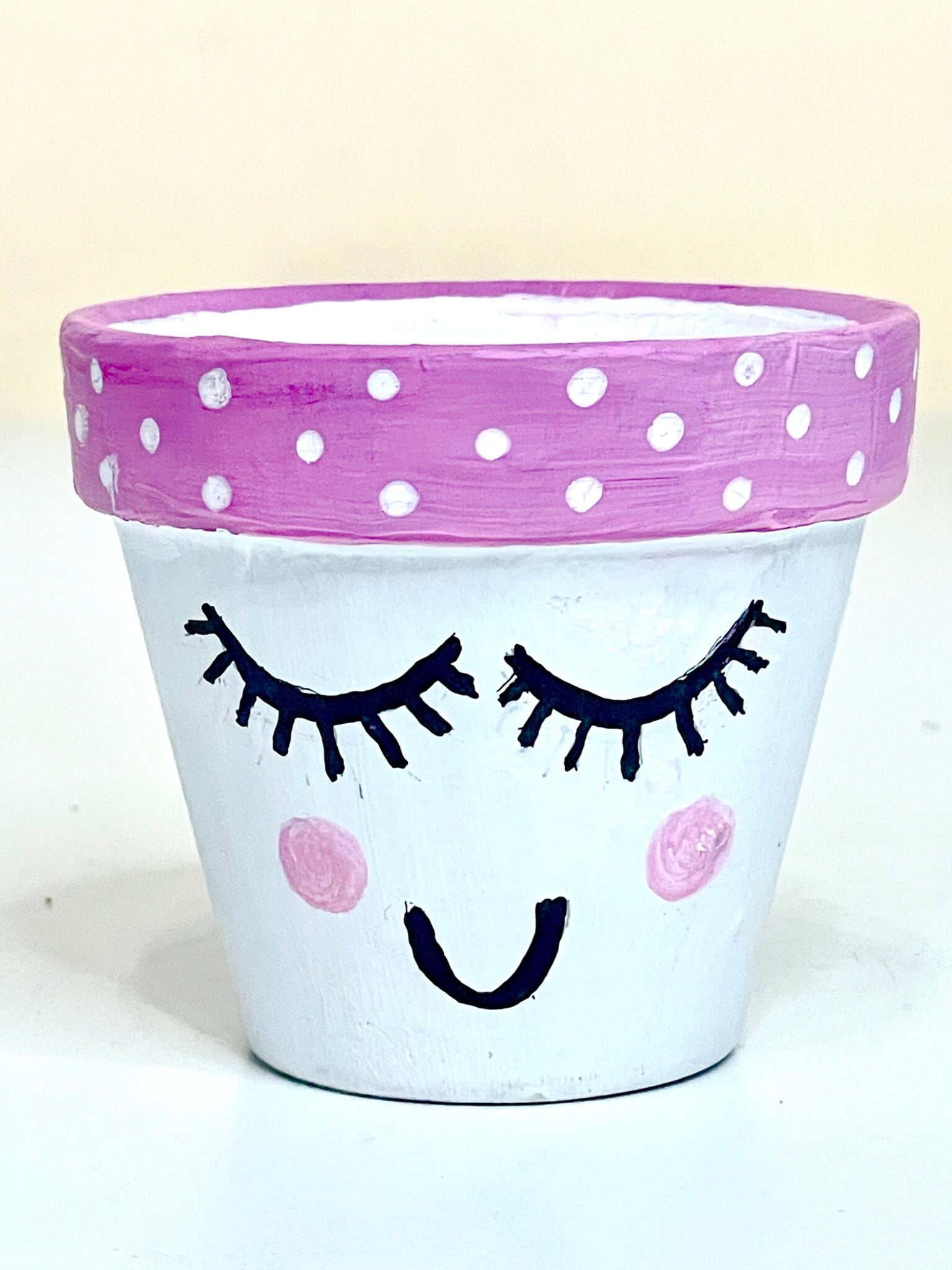 How To Paint Terracotta Pots Tutorial With 6 Easy Ideas